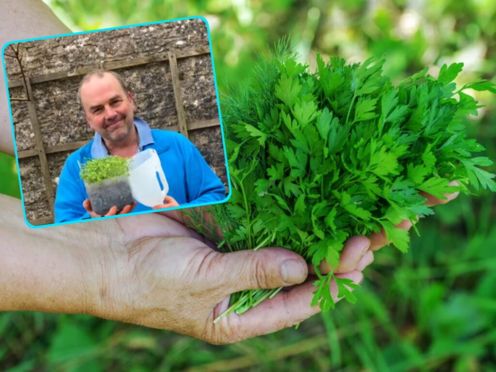 Záhradkár prezradil, ako si doma rýchlo vypestovať bylinky. „Je to ako ...